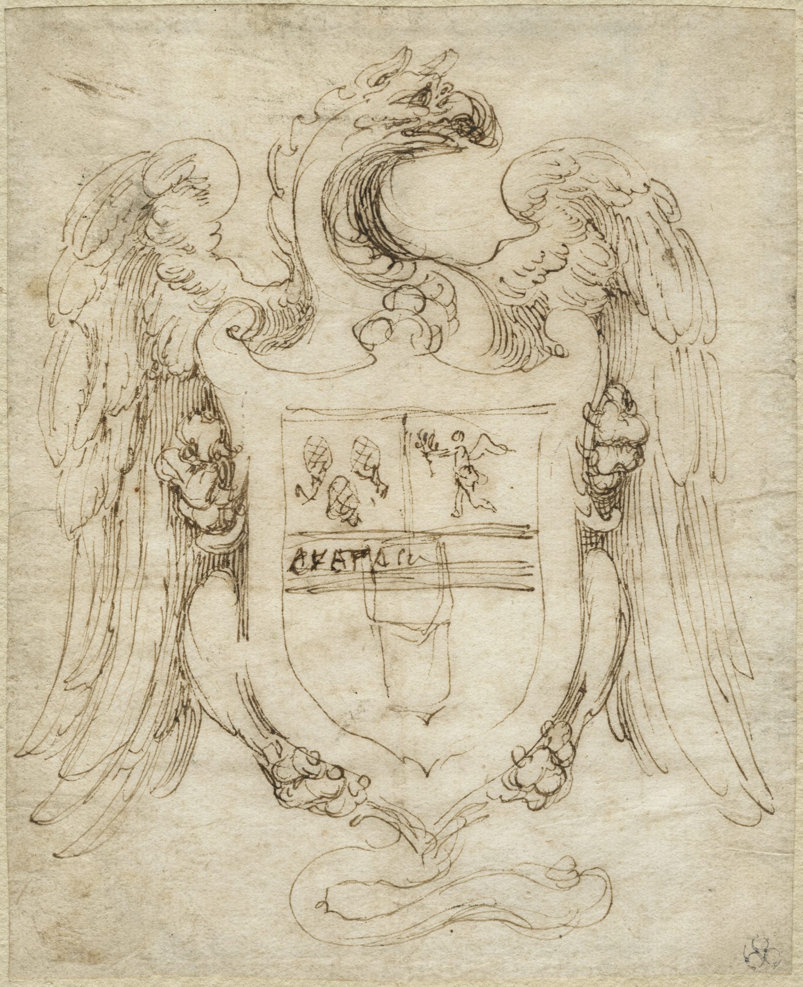 Perino del Vaga / A Griffin holding a coat-of-arm | Nicholas Hall